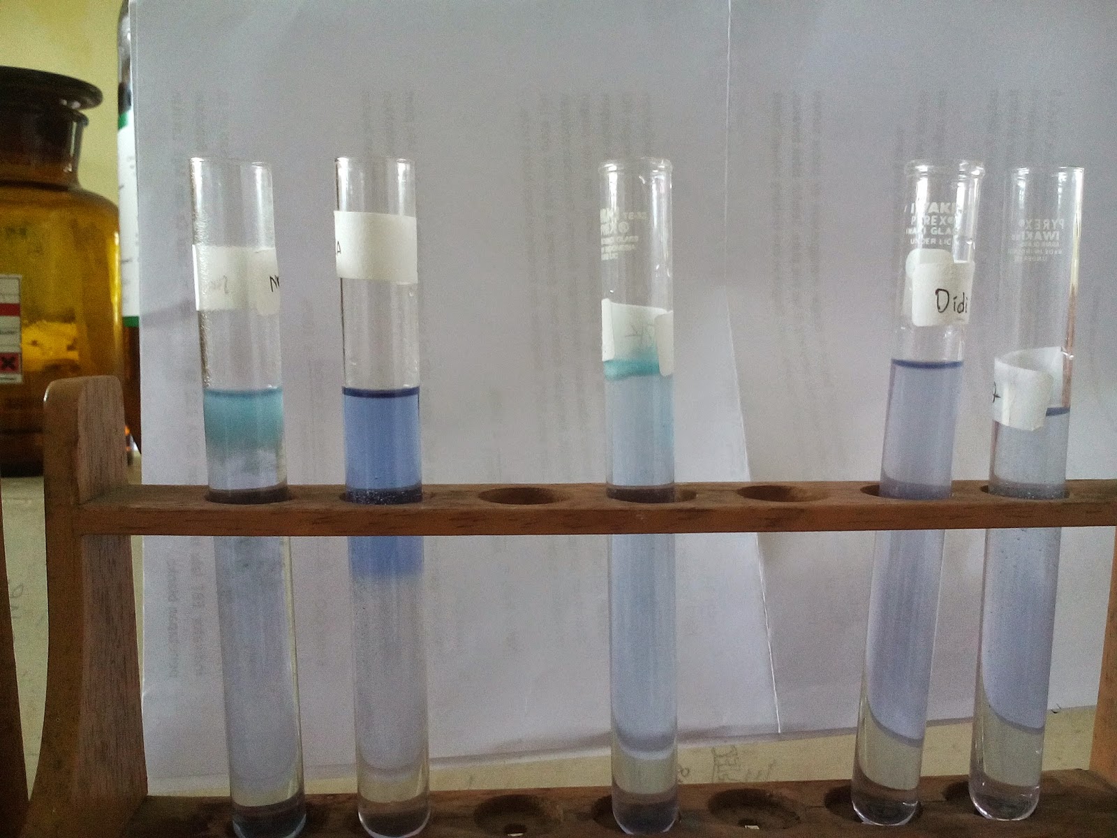 Praktikum Analisis Terpadu: Uji Biuret pada sampel pupuk NPK, Urea, dan ZA