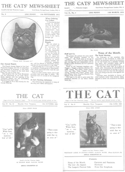 Meow! Blog | Cats Protection: Meet Cats Protection founder Jessey Wade Meow! Blog | Cats Protection: Meet Cats Protection founder Jessey Wade