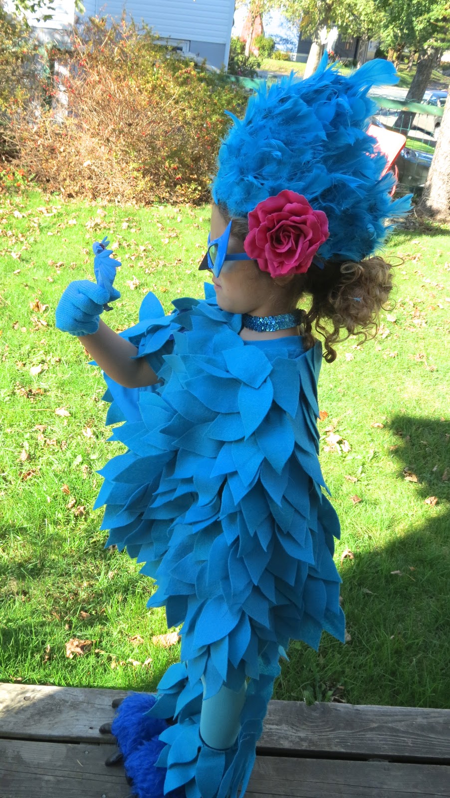 The Simple Craft Diaries: "RIO" Halloween Costume