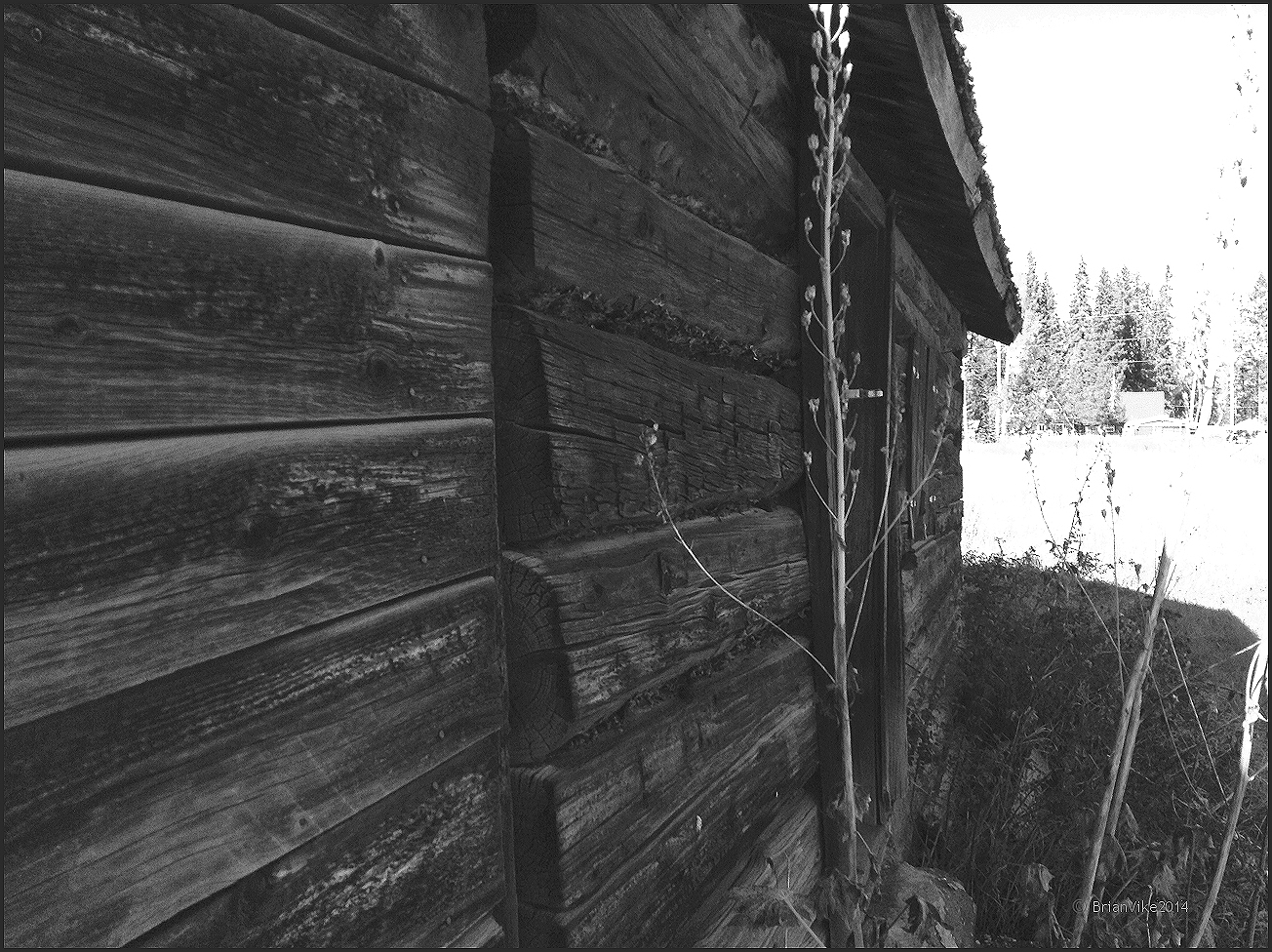 Northern Interior British Columbia: 1890 Telegraph Cabin Quick British ...