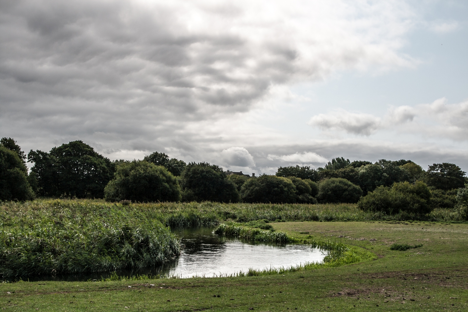 Walking Dorset's gridsquares: Frome Valley Trail - Part 3 - Dorchester ...