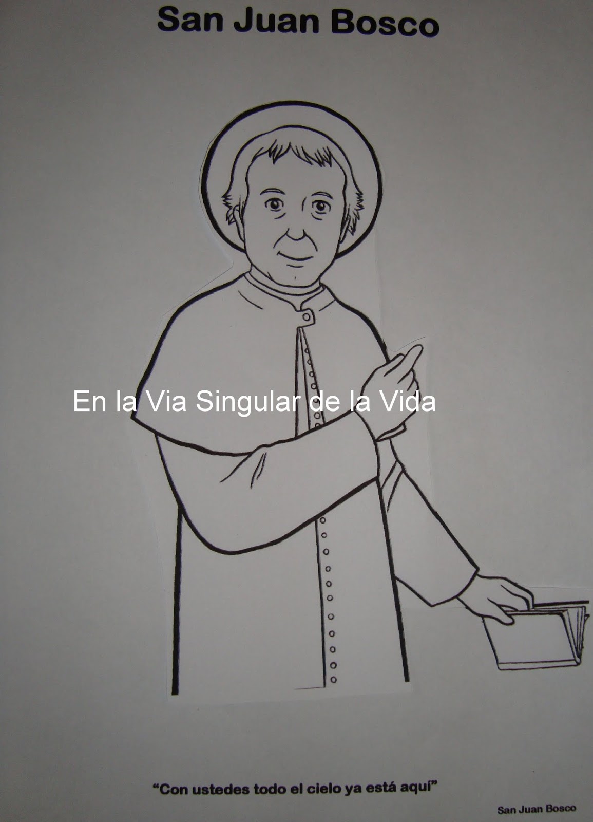 En La Vía Singular de La Vida: Don Bosco 2013