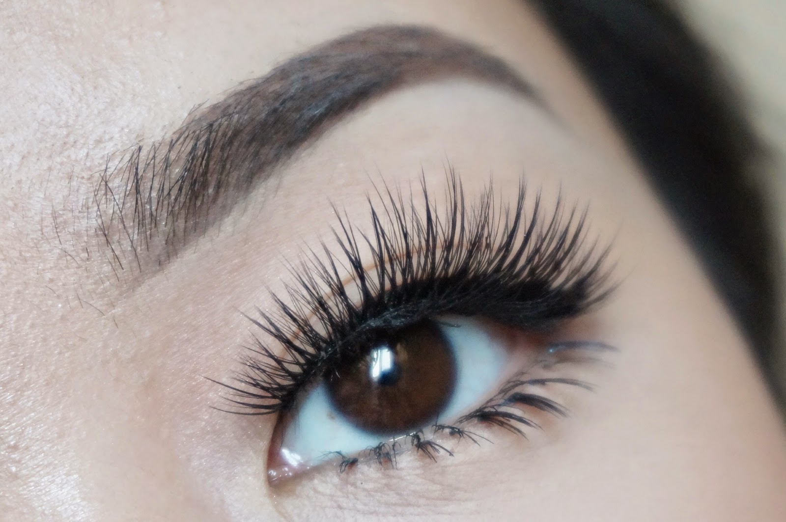 yokoxbeauty: socialeyes lashes review