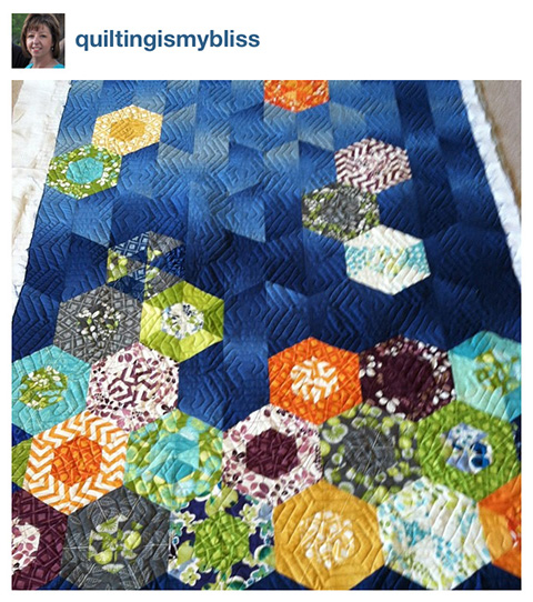 Jaybird Quilts: Your Photos: Science Fair!