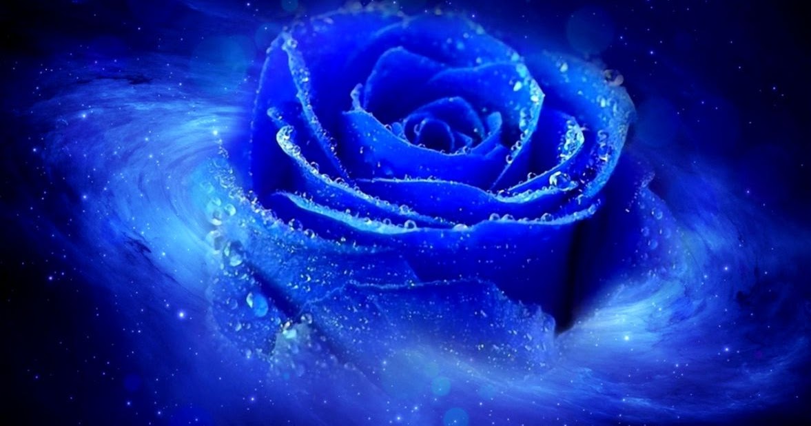 Pretty Moving Backgrounds | Best Wallpaper Background