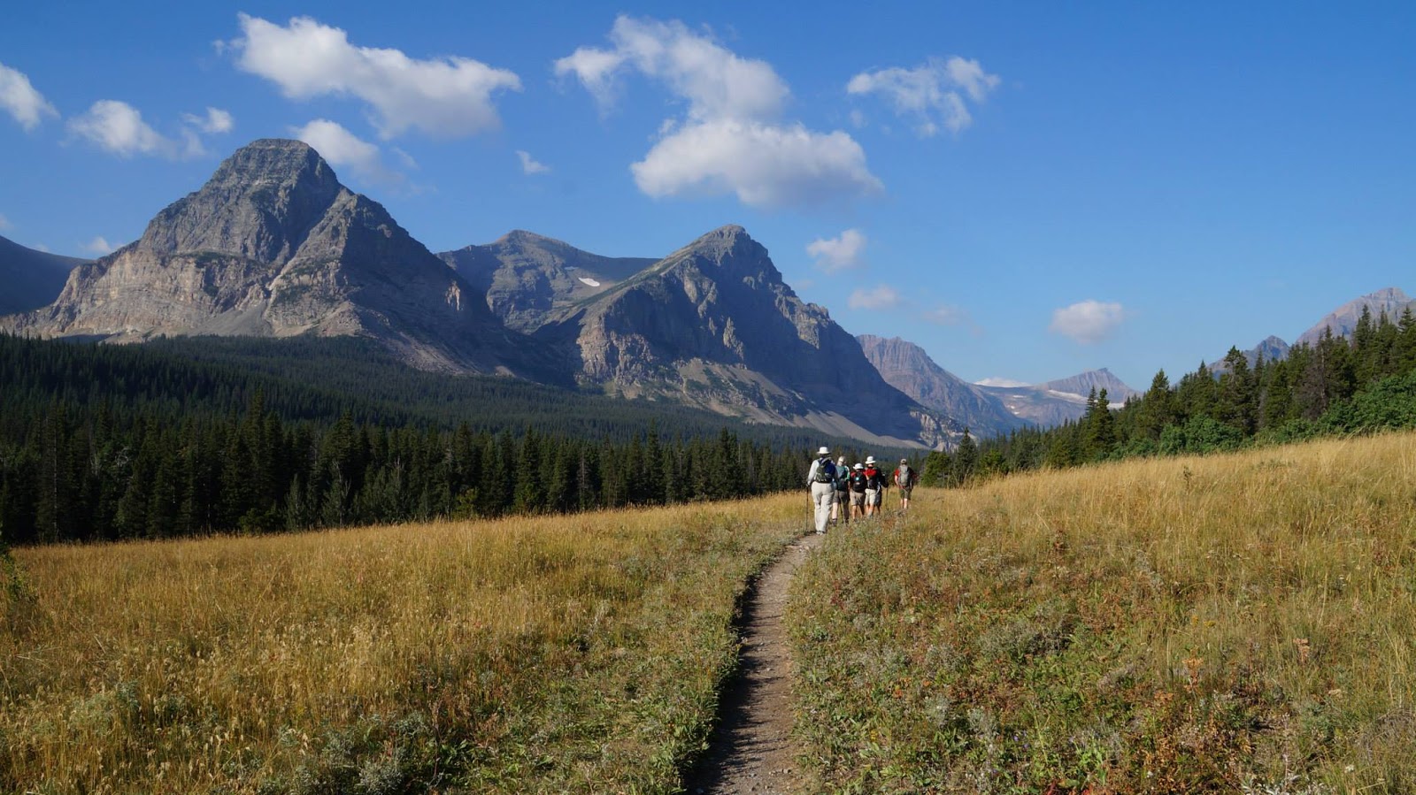 Smoky Scout's Hiking Adventures: Glacier National Park: Triple Divide Pass