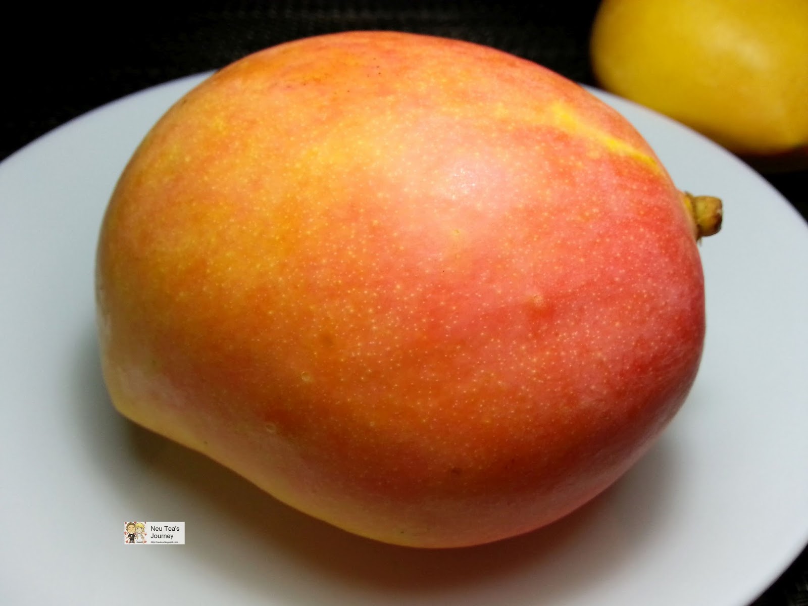 Neu Tea's Journey: Singapore Trip: Mango, Cherry Apple, Shopping