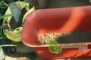 Cara Mengolah dan Memperbaiki TANAH LIAT / TANAH LEMPUNG - Tips dan Trick