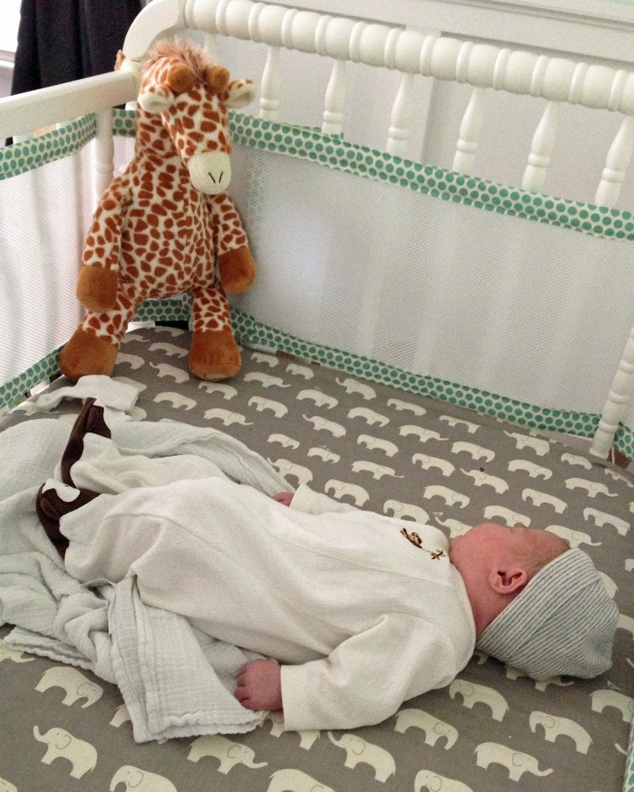 Finding Beauty in Life: Introducing....Adelaide Maureen McLeod