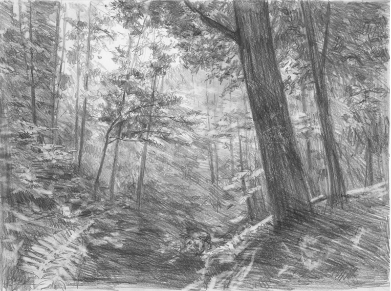 Push And Pull: Revisiting Reprints: Forest