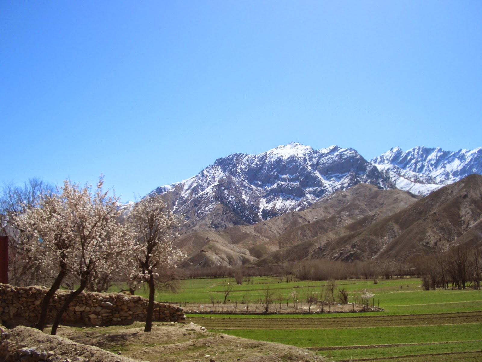 Okar Research: Ya'qub al-Saffar (840 – 879) & the Islamic Conquest (870 AD)