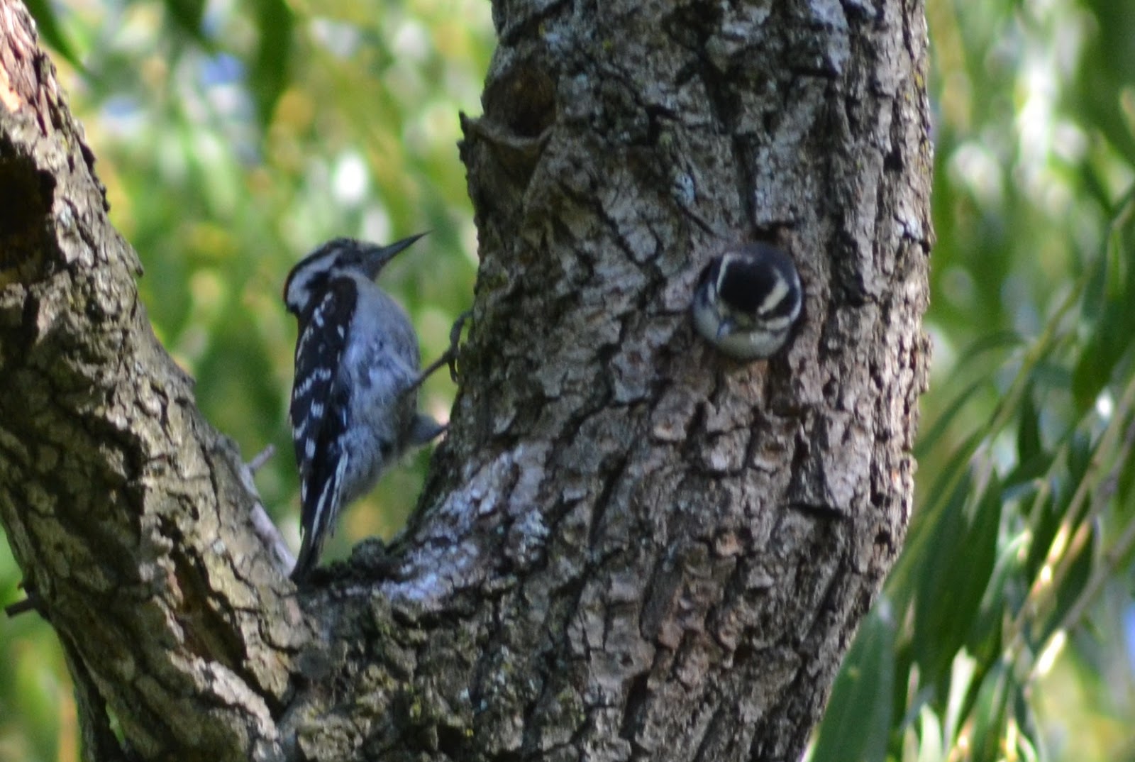 Landscape, Nature and Wildlife Photography done by Angie K. Johnson ...