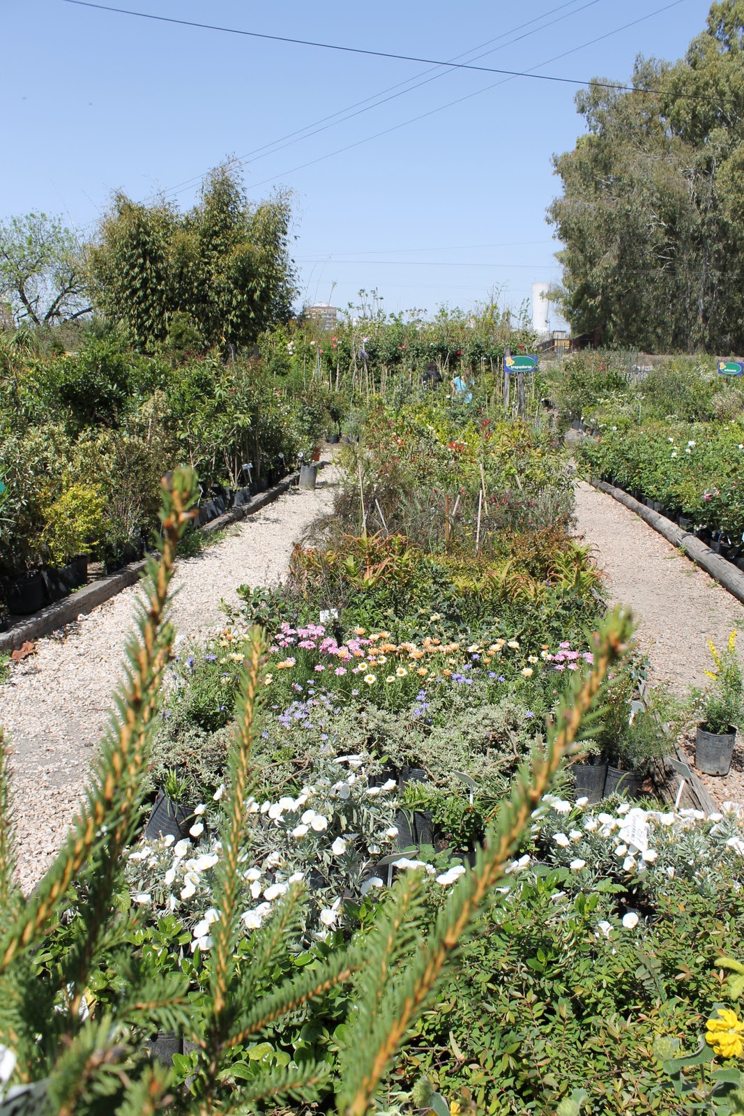 Vivero Agronomía - Parte II / Deco Marce