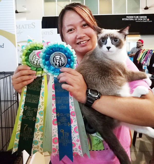 Passion Feline Fanciers (PFF) International Cat Show Malaysia 2017 恭喜阿比 ...