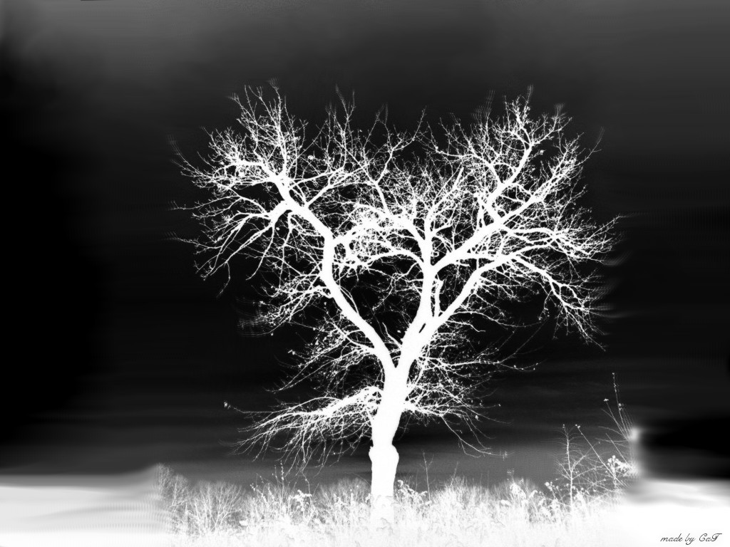 27 Fond D'écran Ordinateur | Fond Ecran Pc