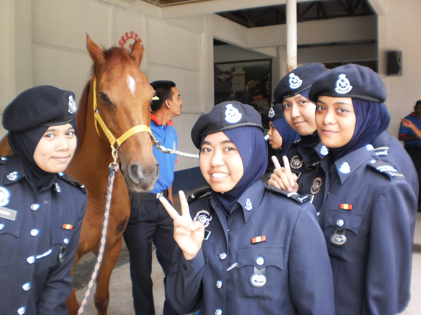 NYSAH NGEHZ: unit FRU & unit BERKUDA PDRM~