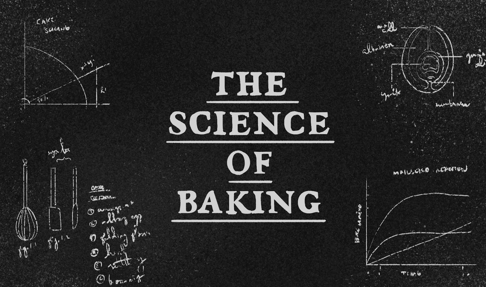 5th Grade Science with Mrs. Theodorakis: The Chemistry of Bread Making!