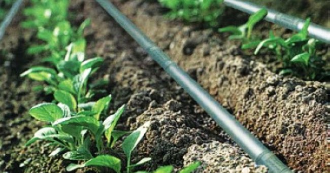 EZ FLO Fertilizing Systems: Understanding The Different Components Of a ...