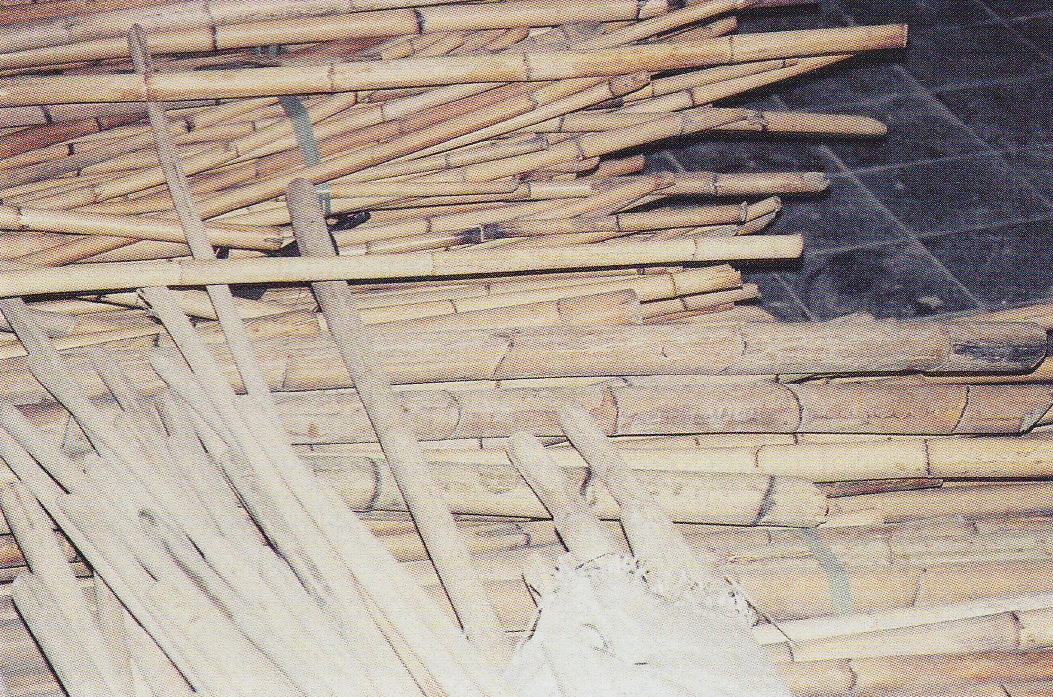 Karakteristik Rotan | Rumah Idaman Kita