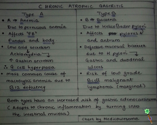 Medicowesome: Difference between chronic atrophic gastritis type A and ...