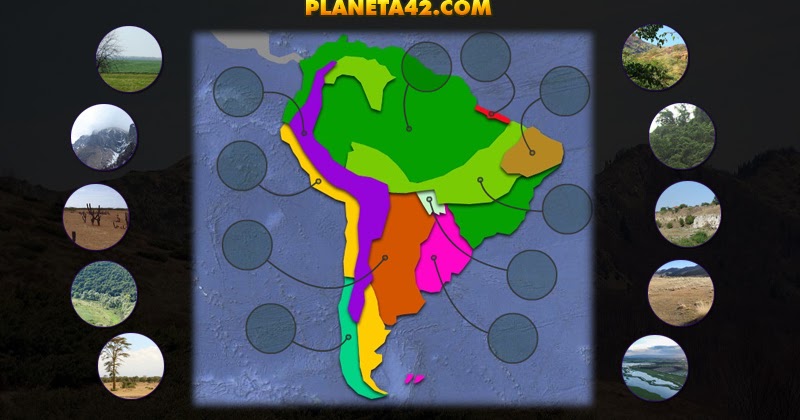 Electronic Game School: South America Biomes
