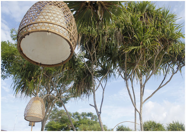 Anne Milou Dinaux: Surfen, Ubud, Paradijselijke eilandjes, Manta roggen ...