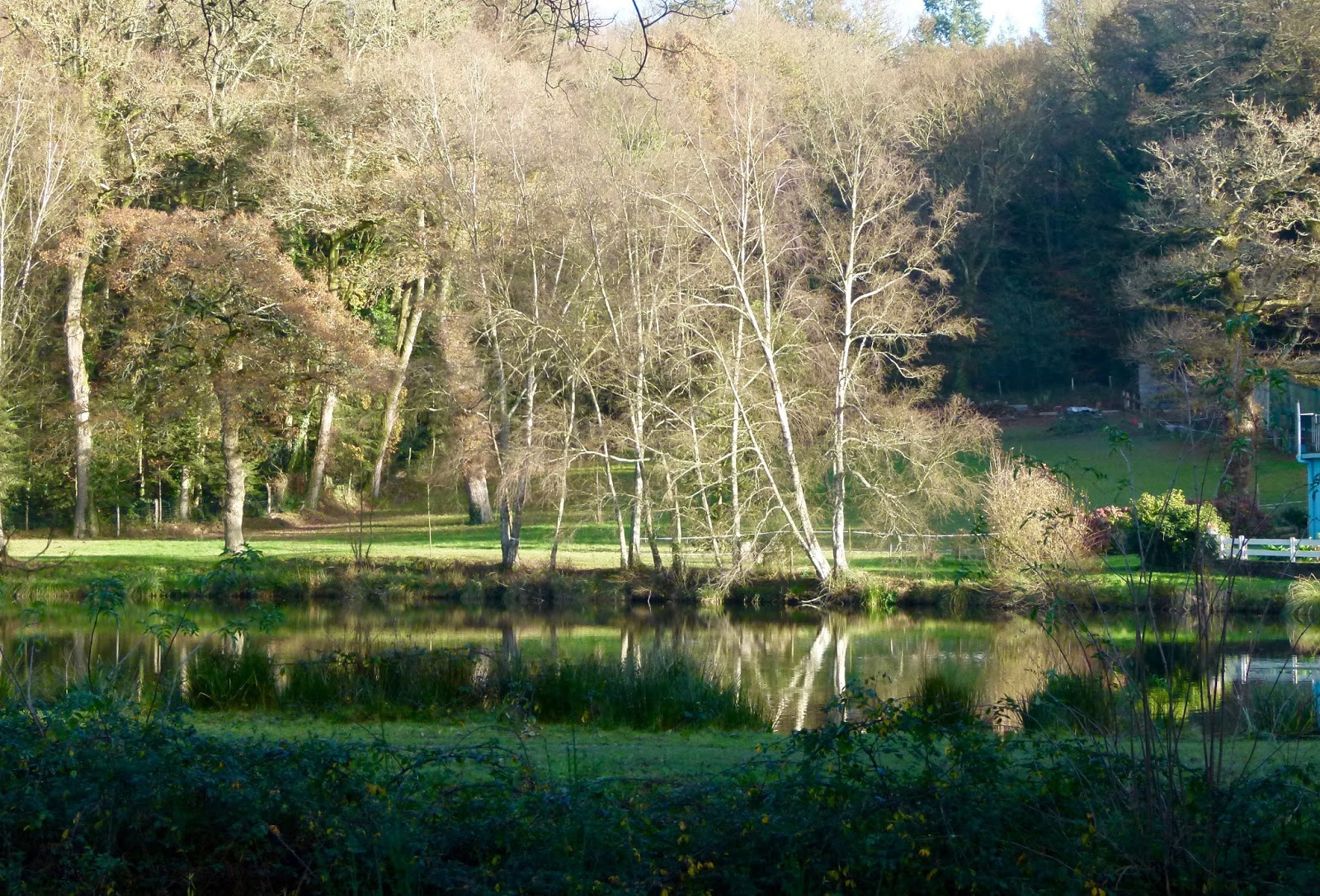 Le retour chez Canelle: La fontaine de Callac