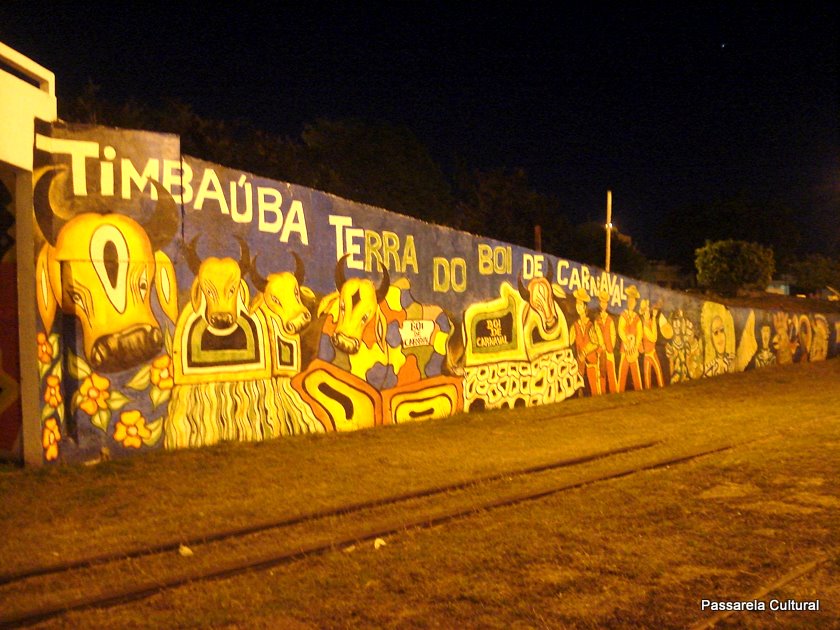 .: DE TIMBAÚBA PARA O MUNDO