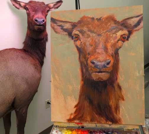 Shirl Ireland's Art Blog: Staring down an elk....