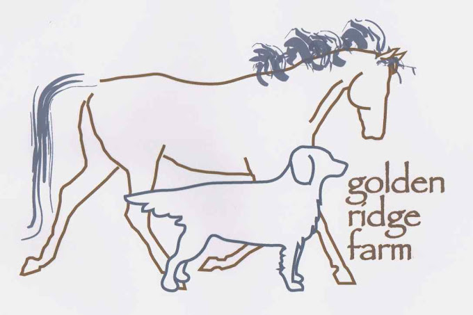 Golden Ridge Farm