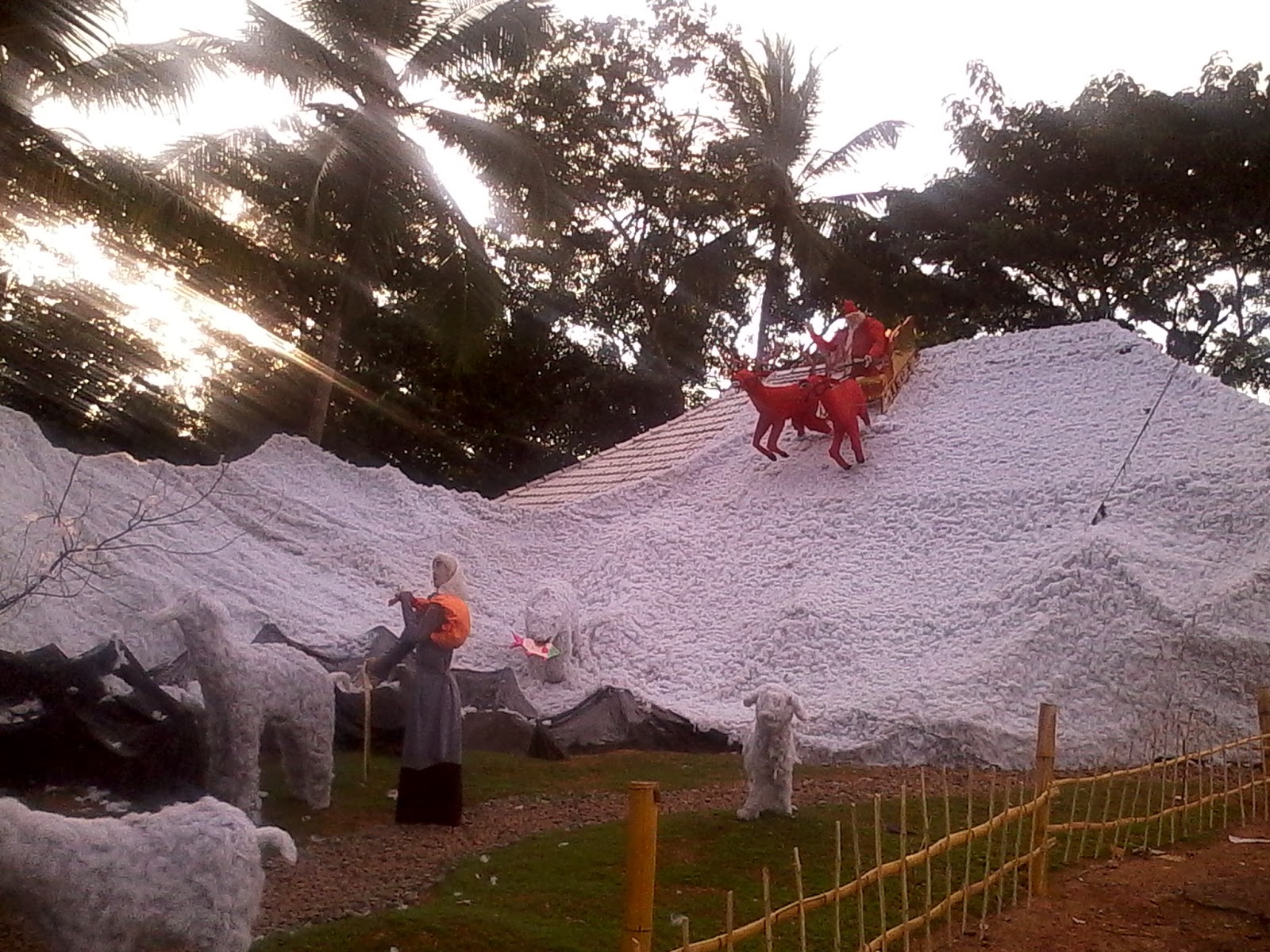 Kerala: Christmas Celebration on Chemboor Church near Vellarada ...