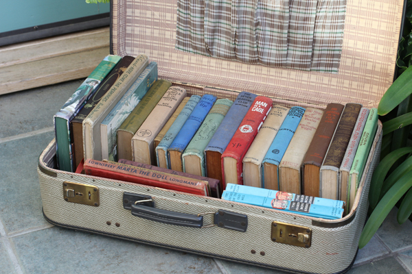 Books And Suitcases : Bear Ears