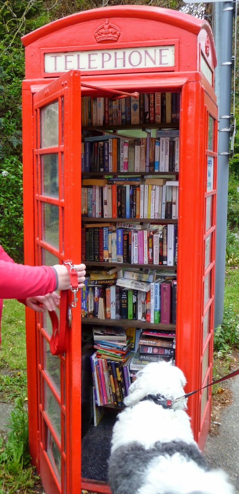 The Little Reader Library: Our Little Village Library/Book Exchange