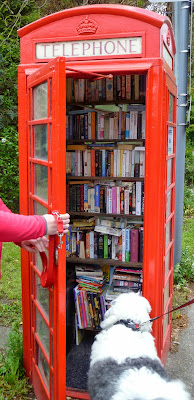 The Little Reader Library: Our Little Village Library/Book Exchange