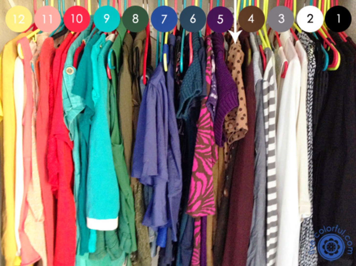 Paleta De Colores Para Ordenar Ropa at Ellie Gillespie blog