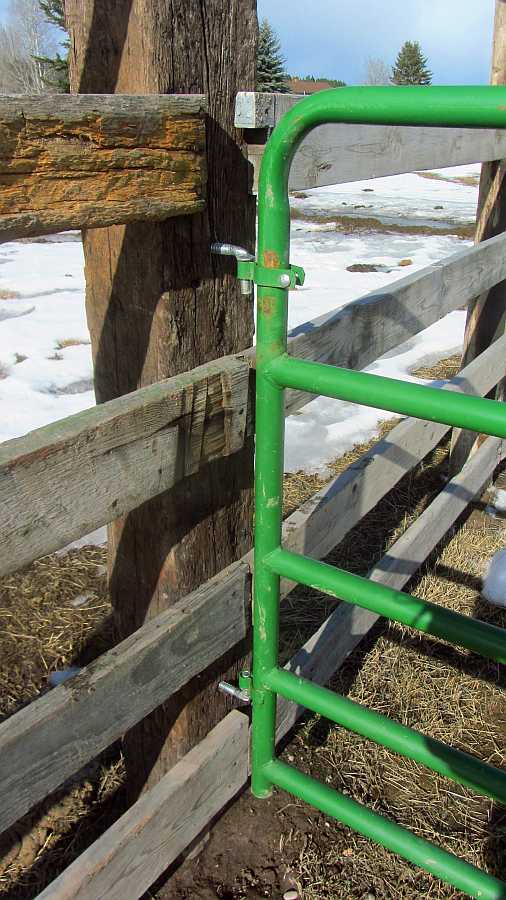 Life among the Tall Pines: Fixed corral gate
