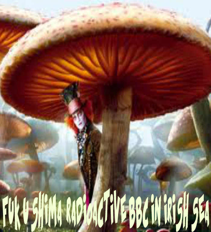Irish Blog: FUK U SHIMA & RADIOACTIVE BBC IN THE IRISH SEA