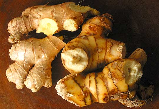 Back To Nature: Manfaat Kencur Bagi Kesehatan| Sehat Alami Sepanjang Hari