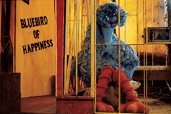 Smother Goose: "Follow That Bird"