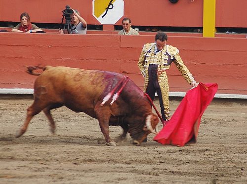 NO.al.maltrato.de.los.animales: Toreadas ...