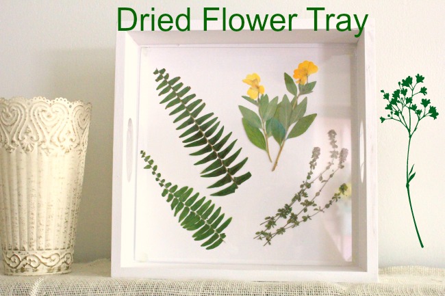 DIY Botanical Tray - Crafts a la mode