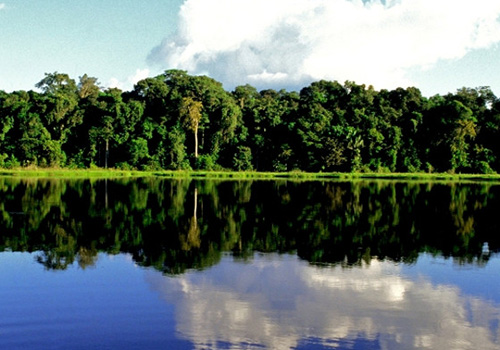 12 de Febrero - Descubrimiento del río Amazonas