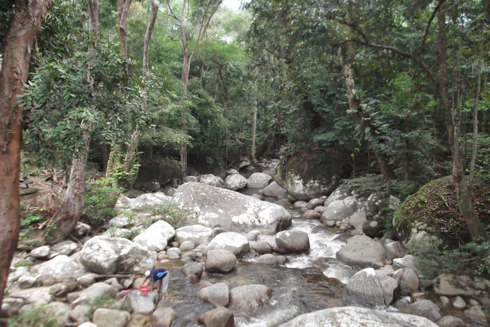 MENCARI CINTA ABADI: Sekitar Pemandangan di Hutan Lipur Ulu Kenas