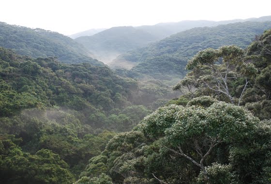 Isshin - Concentration the Art: Okinawa as I would like to experience it