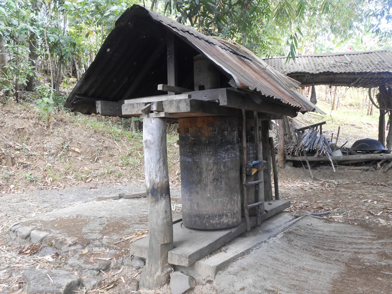 Discover the world with Kanuto: BASI REVOLT (Movement for the Love of ...