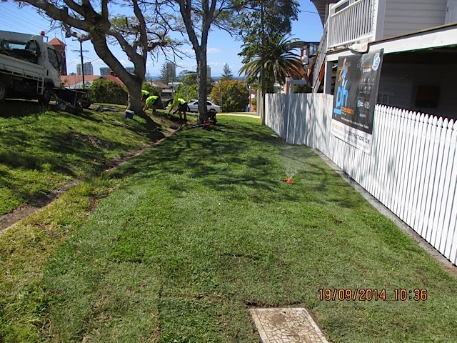 Renovating a Queenslander: Landscaping / Fencing