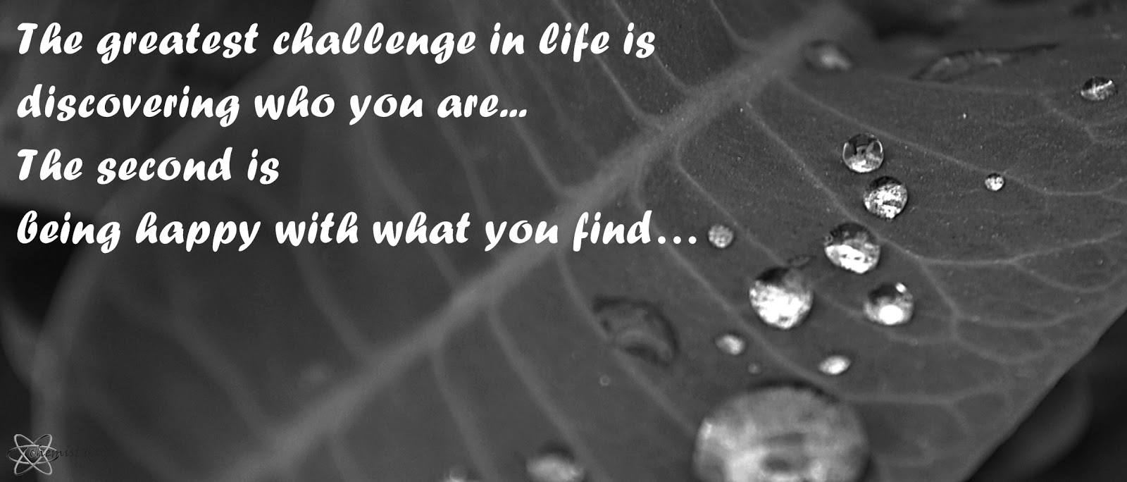 Weekend Reflections: Discover and Be Happy