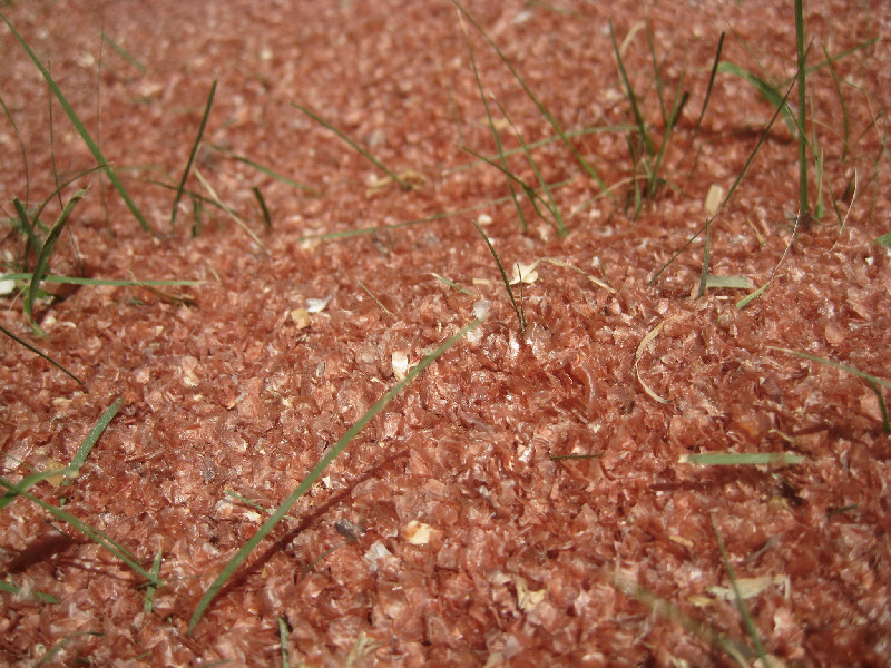 Alta on the Farm: Corn Farming 101 (Lesson 2 - Harvest)