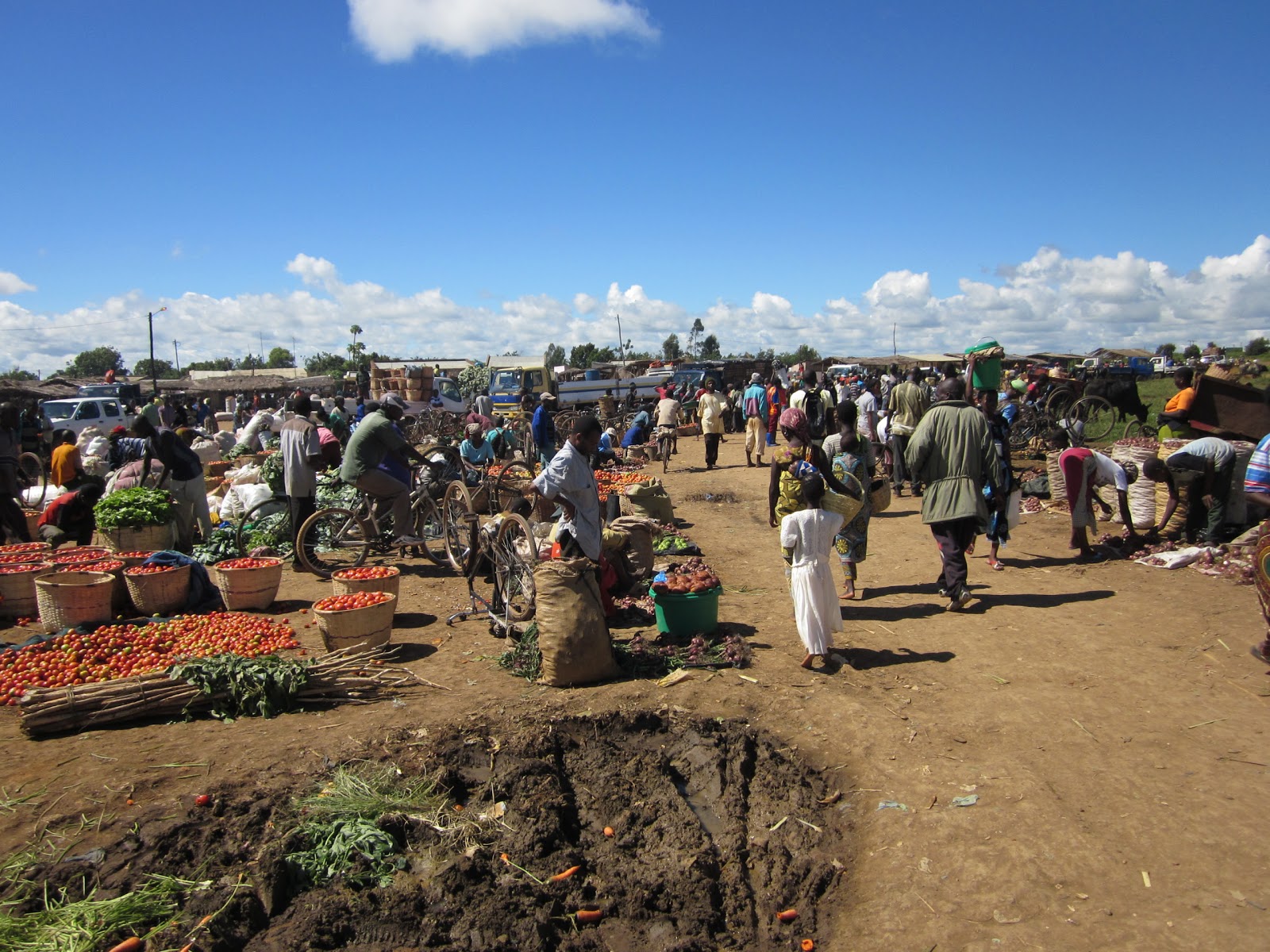 Alaska to Africa (and beyond...): Angonia