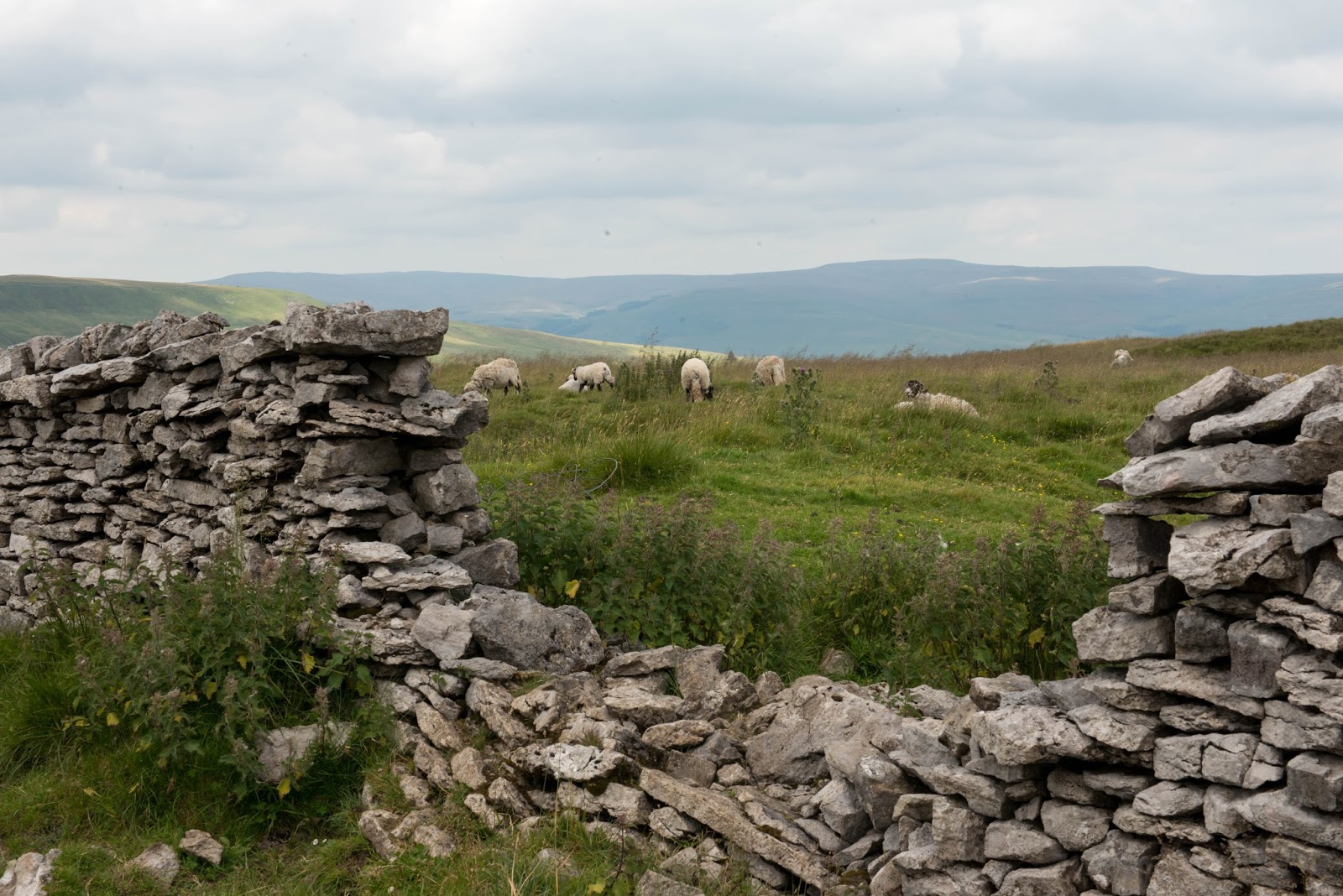 De Ontdekking van het Licht: Muurtjes